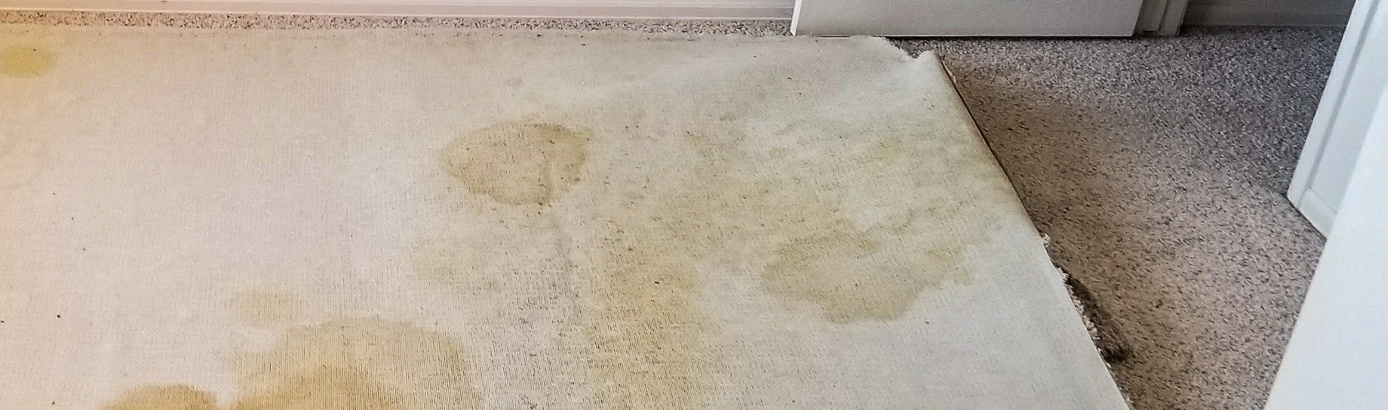 Do You Have to Replace Old Carpet Before Selling? - Blog